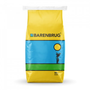 Barenbrug RPR Perennial Ryegrass | Hines Seed Co
